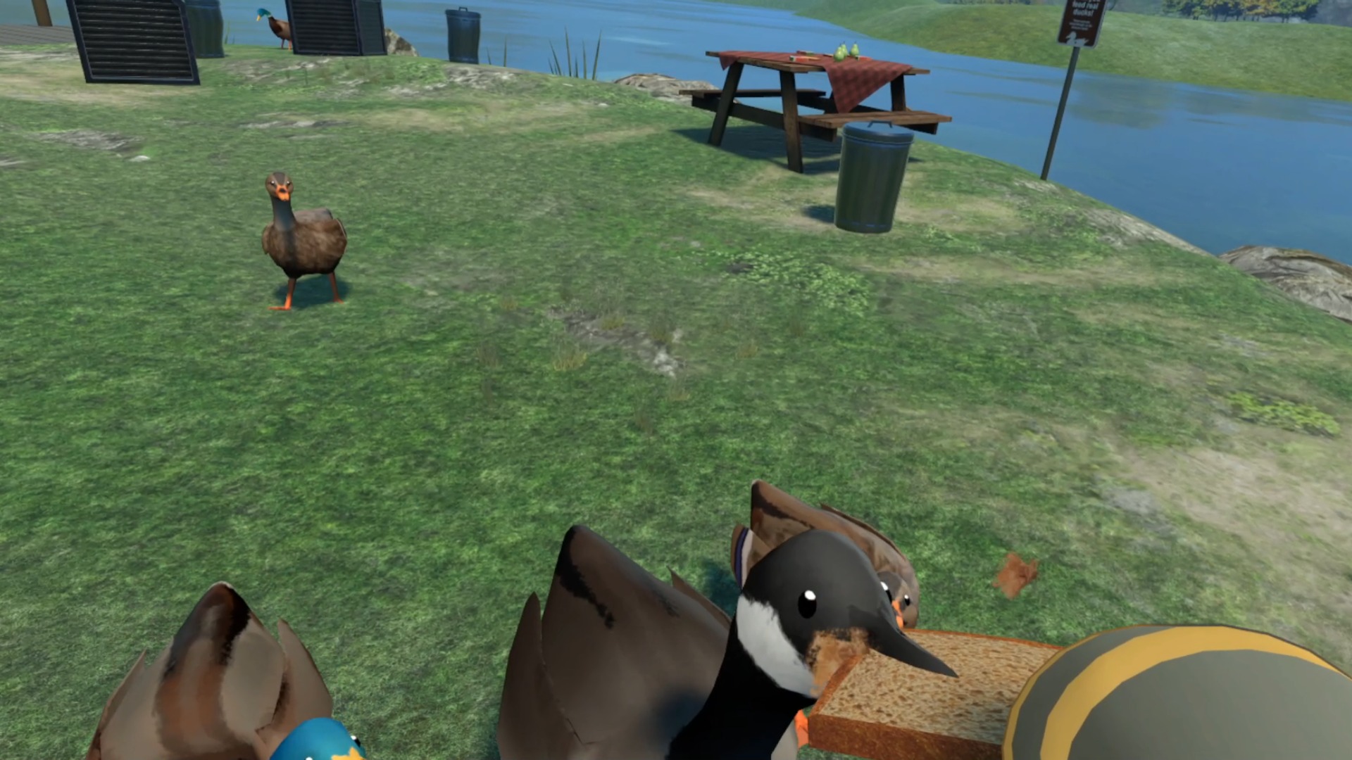 VRChatでカモに餌をあげよう！『Udon Bird Sanctuary』 | バーチャルライフマガジン