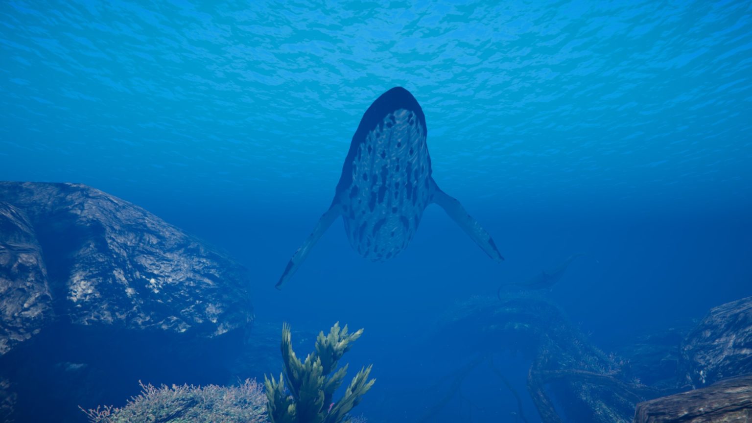 夏だ！海だ！VRChatでバーチャルダイビングと海水浴だ！ | バーチャルライフマガジン