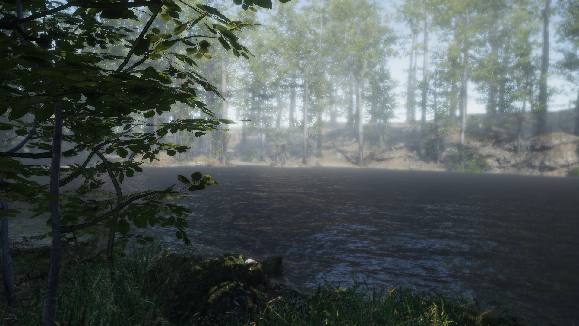 まるで本物の森に迷い込んだみたい！大自然を超リアルに味わえるVRChatワールド | バーチャルライフマガジン