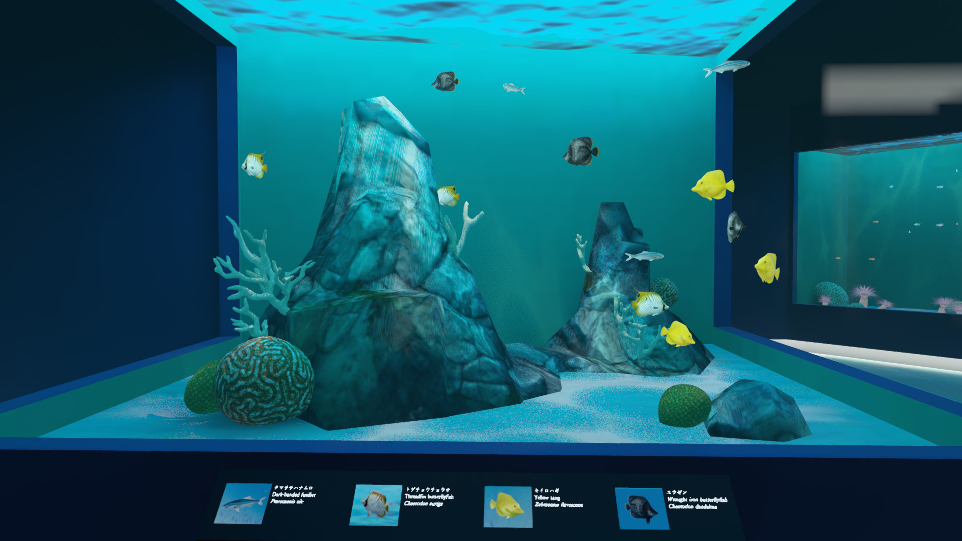 VRChatの水族館！『Sushi Aquarium』は珍しい魚にも出会える、リアリティ抜群のワールドでした！ | バーチャルライフマガジン