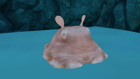 VRChatの水族館！『Sushi Aquarium』は珍しい魚にも出会える、リアリティ抜群のワールドでした！ | バーチャルライフマガジン